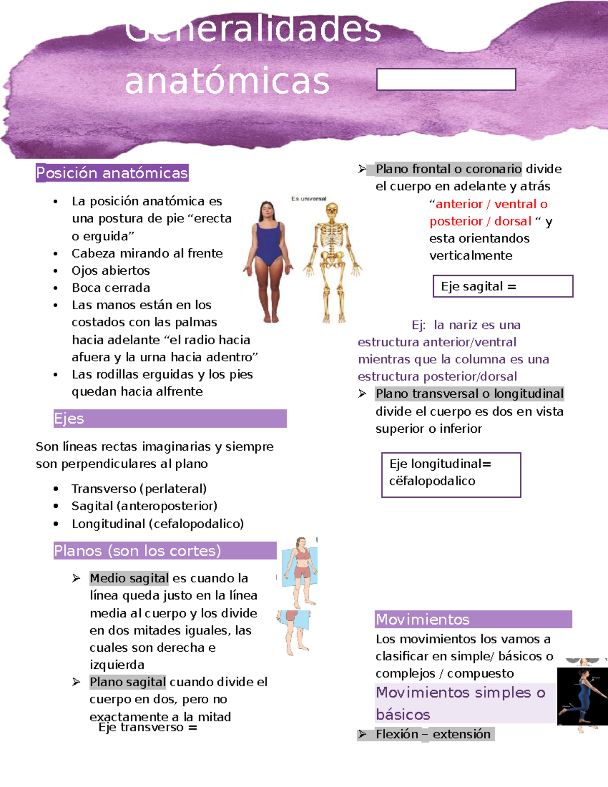 Generalidades anatomicas clase 1 - Posición anatómicas La posición ...