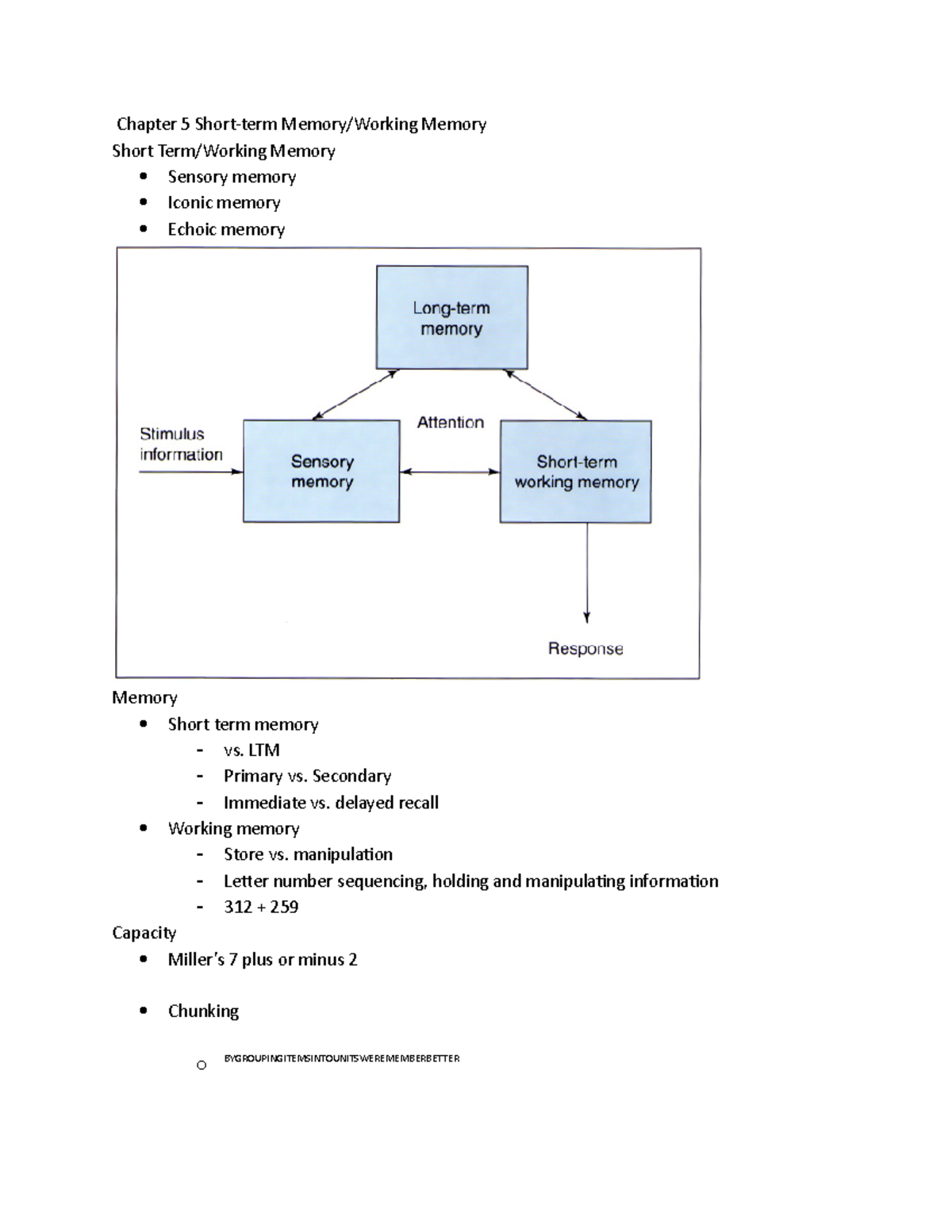 Chapter 5 STM Working Memory - Chapter 5 Short-term Memory/Working ...