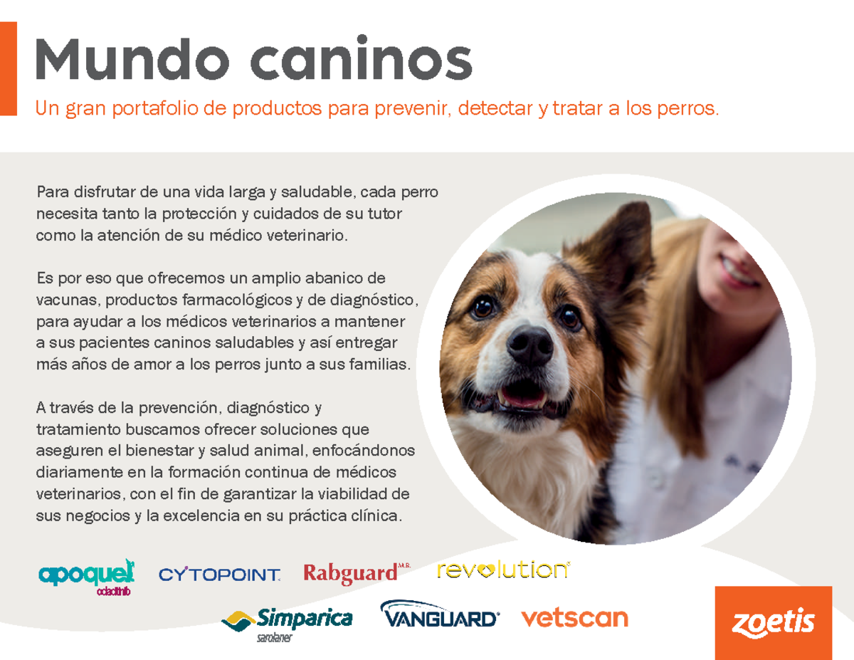 Portafolio mundo canino - Mundo caninos Un gran portafolio de productos para prevenir, detectar ...