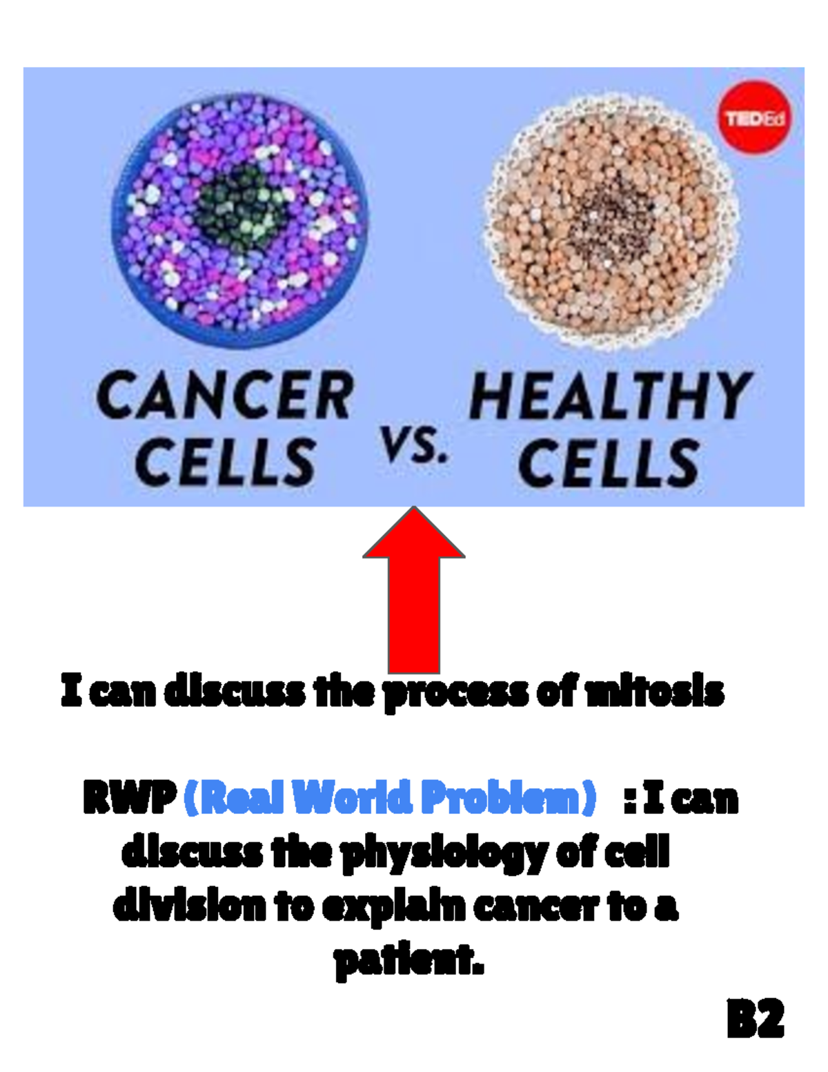 Copy of Warmup Cancer and Mitosis - I can discuss the process of ...