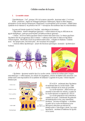 Autre méthode de purification basée sur une propriétés des cellules ...