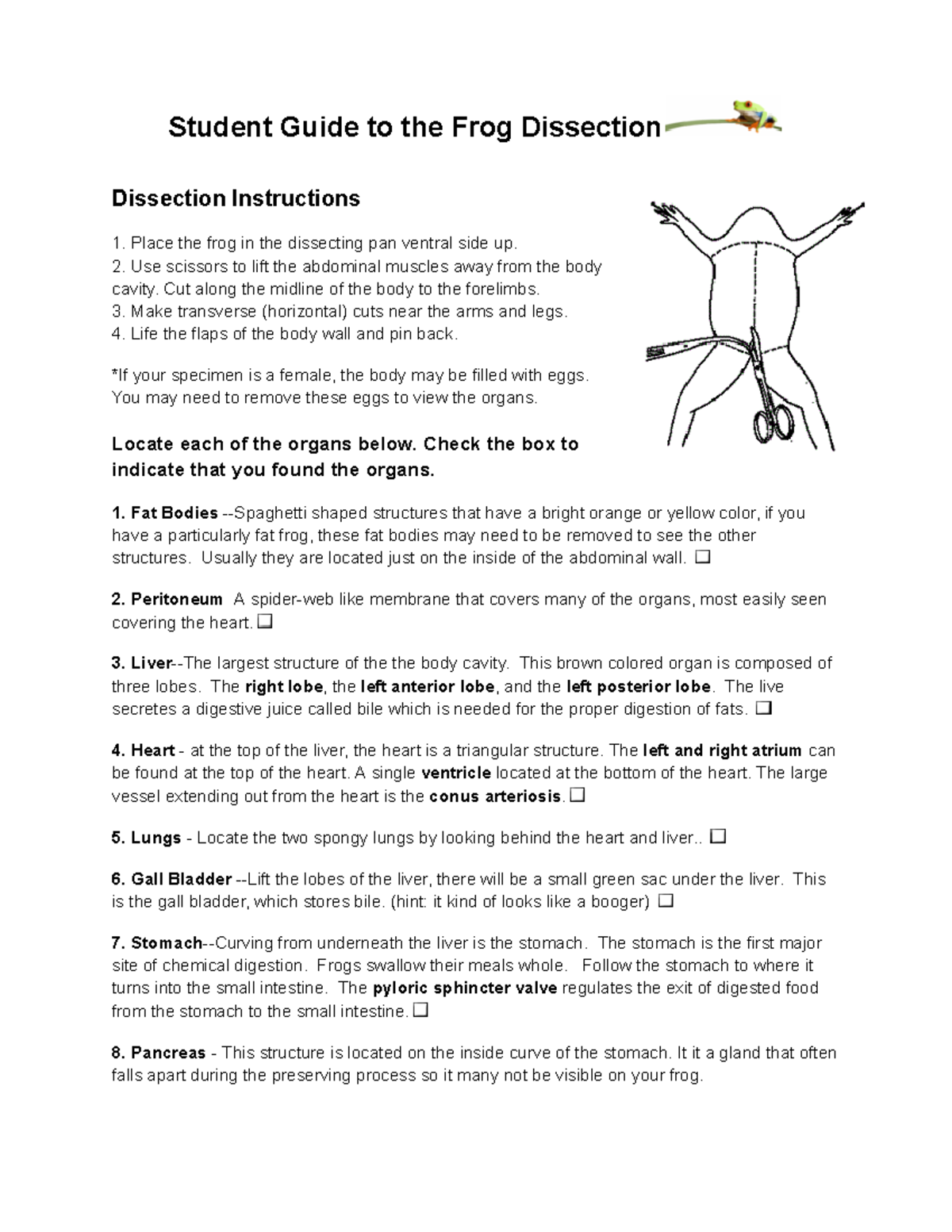 Frog Dissection - One of the best ways to learn about adult amphibian ...