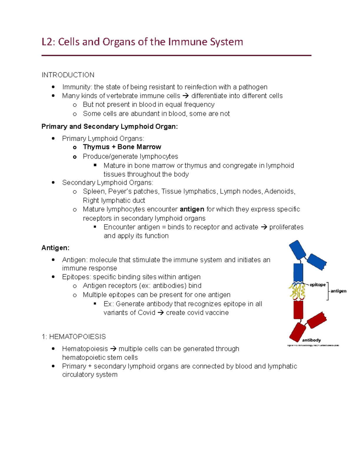 L2 Cells and Organs of the Immune System - L2: Cells and Organs of the ...