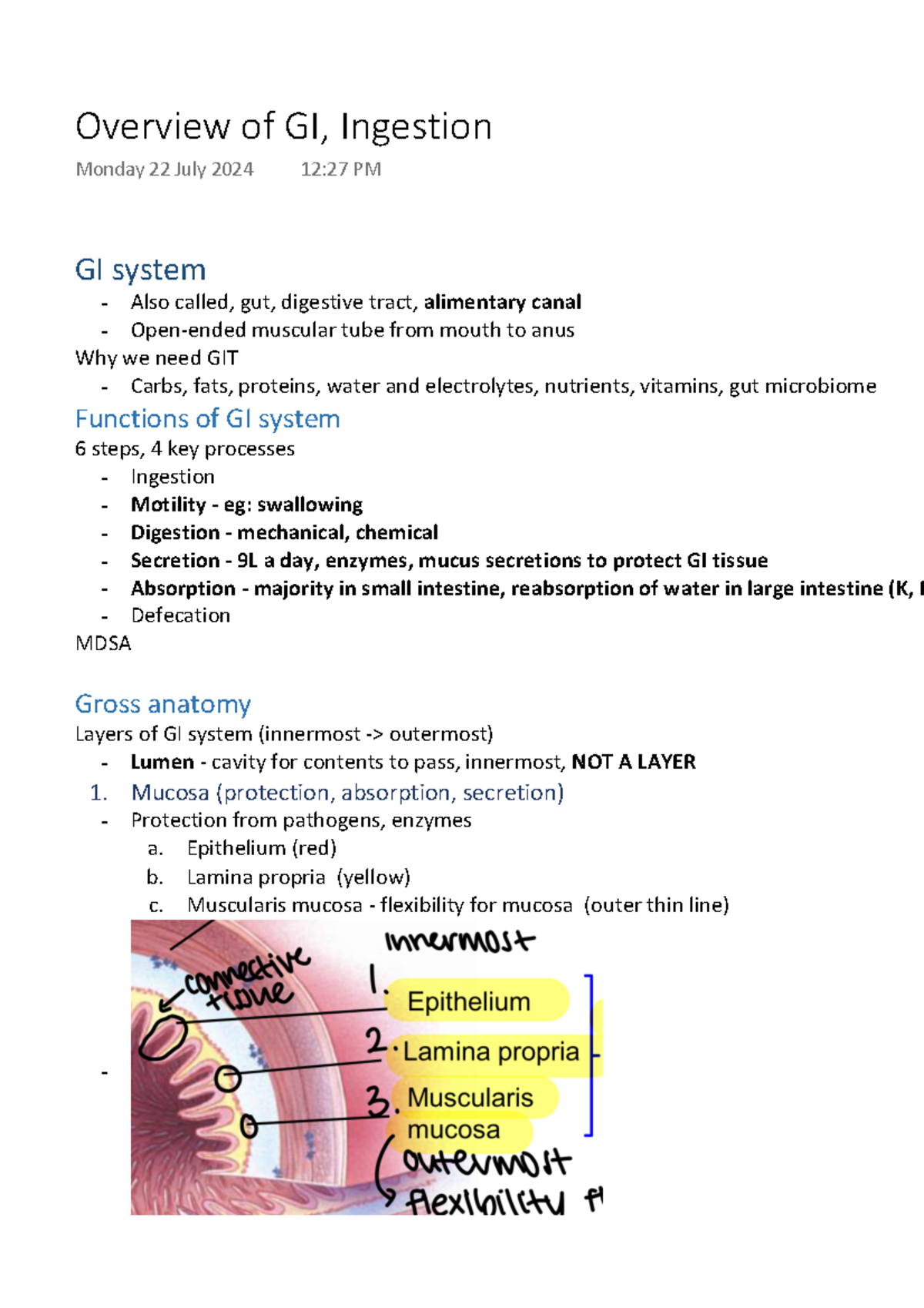 Overview of GI, Ingestion - GI system Also called, gut, digestive tract ...