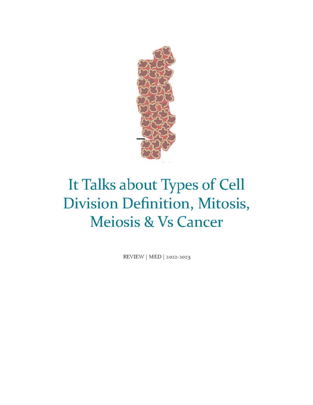 It Talks about Types of Cell Division Definition Mitosis Meiosis Vs ...