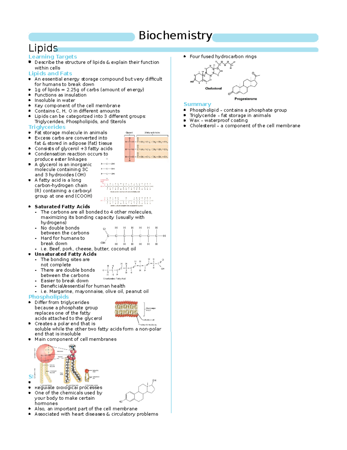 Lesson 7 - Lipids - Class Notes - Biochemistry Lipids Learning Targets ...