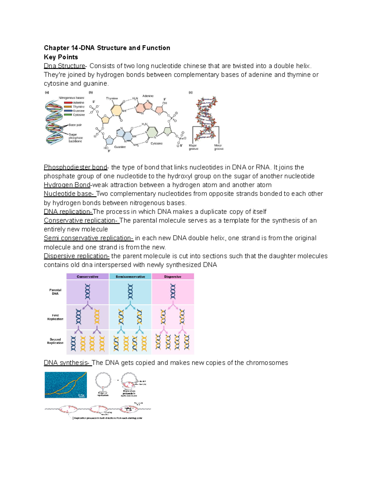 Bio Ch 14 review - overview/summary of the notes from bio 130 chapter ...