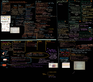 Chapter 8 - Professor Lisa Marr - Chapter 8 8. Joints are classified by ...