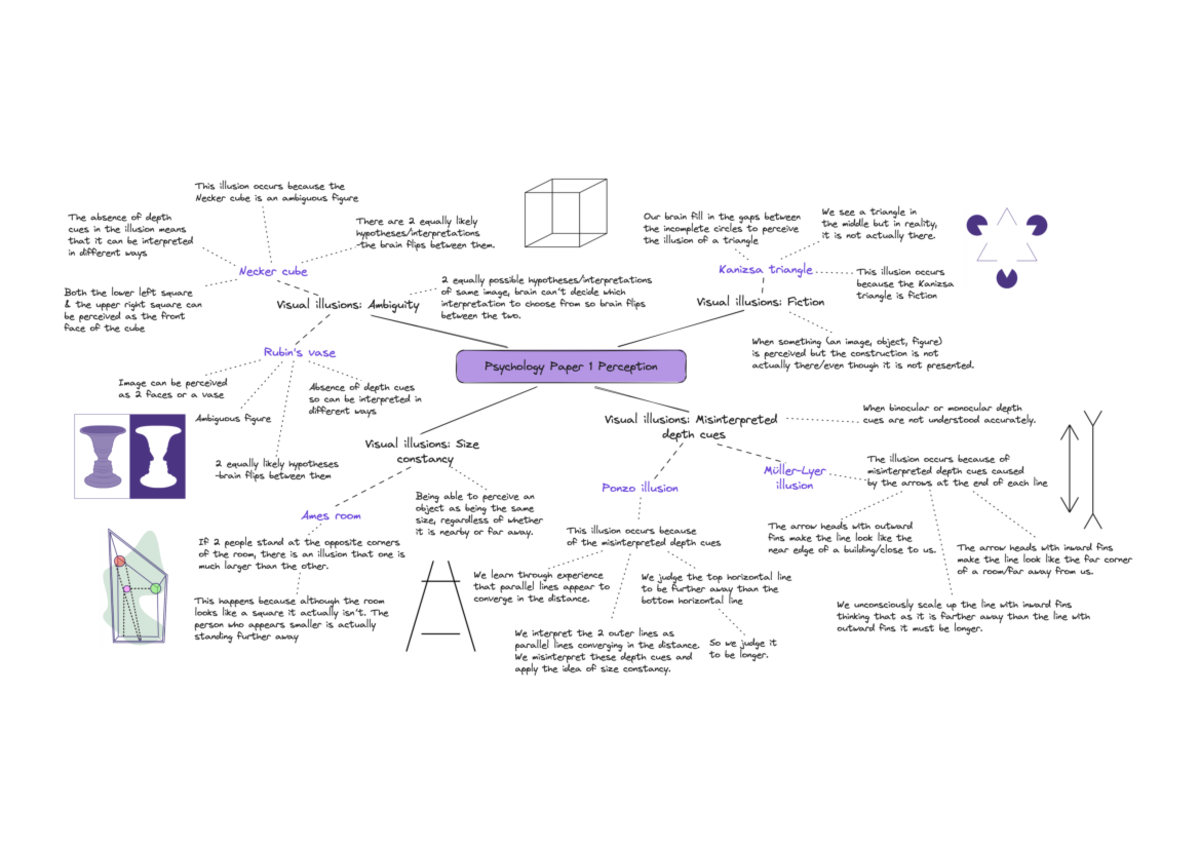 Perception 2mm - AQA psychology GCSE - Studocu