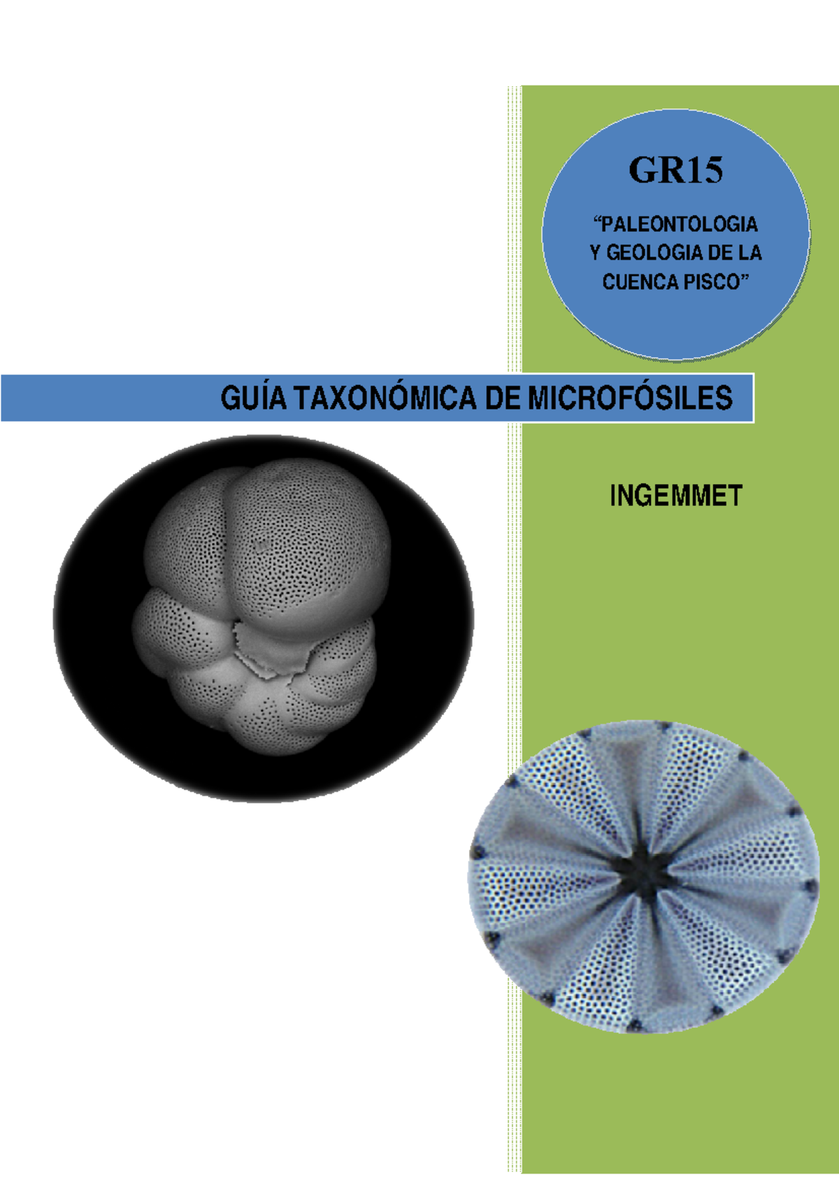 Ingemmet-Guia taxonomica microfosiles GR15 - GR “PALEONTOLOGIA Y ...