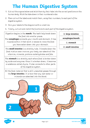 Grade 2 COT MATH Q4 - Lesson Plan - Republic of the Philippines ...