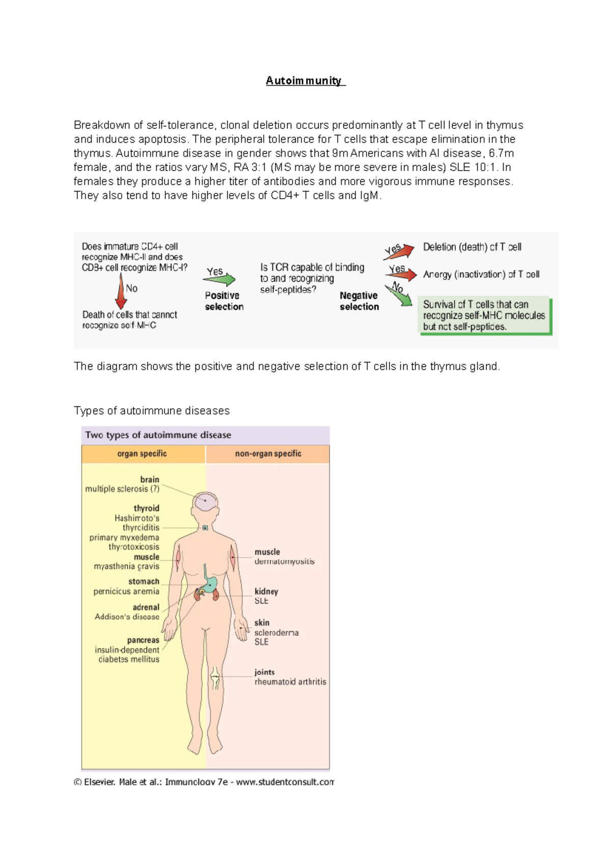Revision notes Autoimmunity - Autoimmunity Breakdown of self-tolerance ...