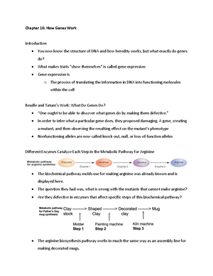 Chapter 5 – Exploring Genes and Genomes - Chapter 5 3 Exploring Genes ...