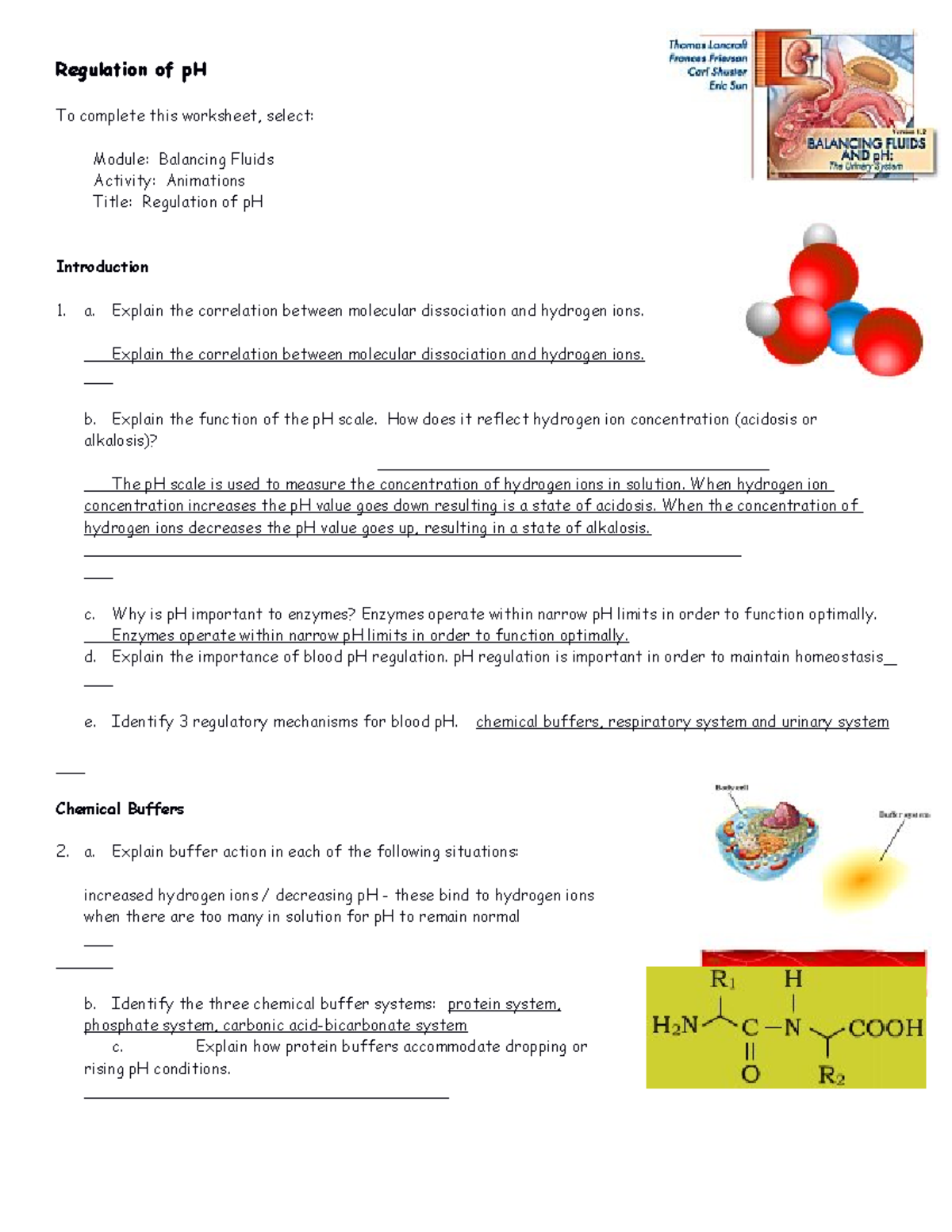 Bal reg - Assignemnt - Regulation of pH To complete this worksheet ...