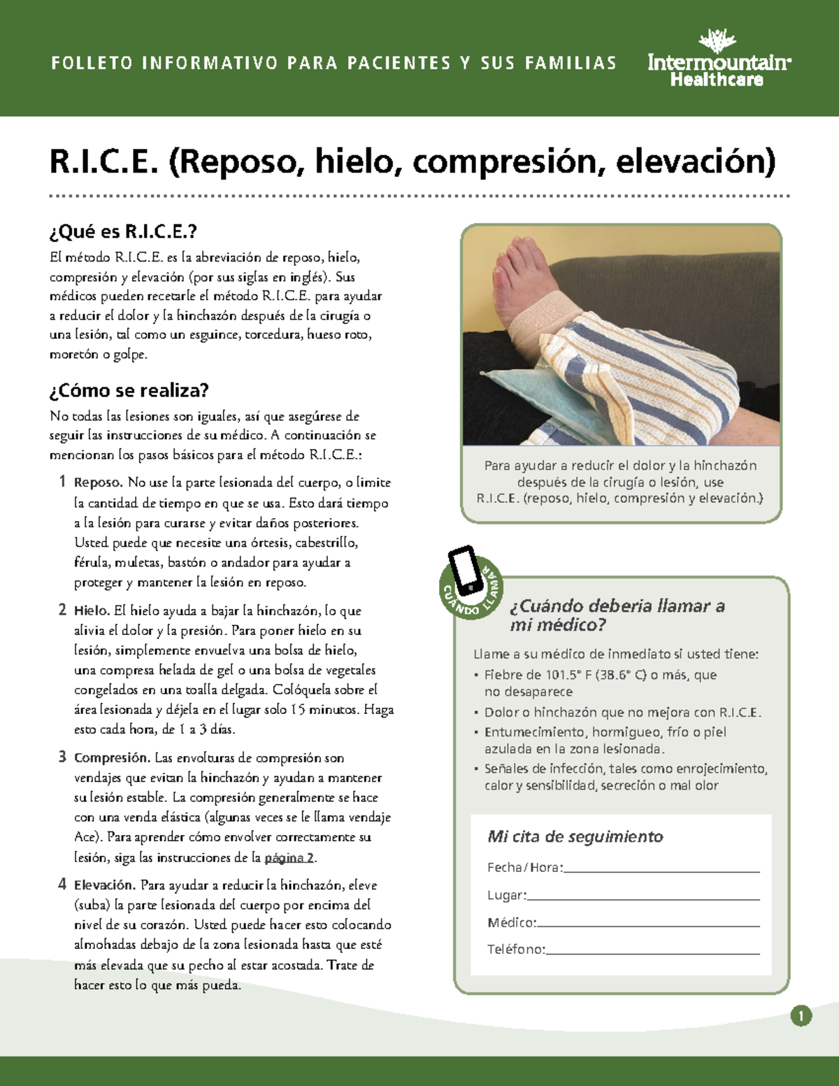 Tecnica-RICE - Resumen - F O L L E T O I N F O R M AT I V O PA R A PA C ...