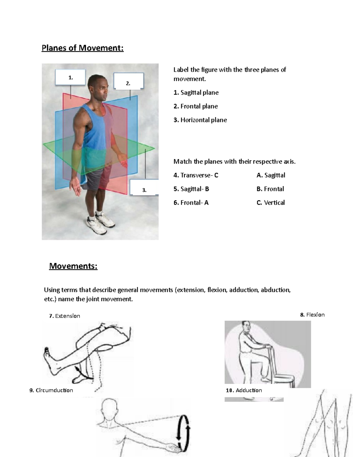Planes of Movement- Lab 2 - KIN 431 - SFA - Studocu