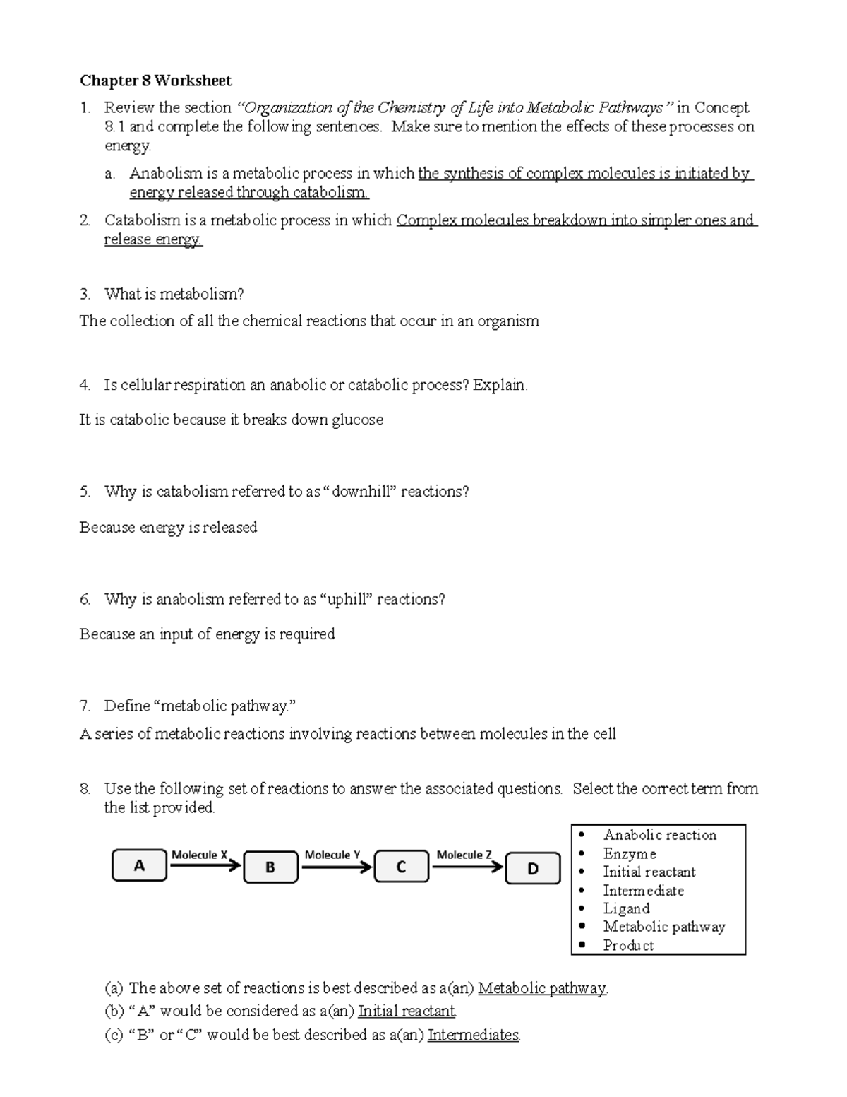 Chapter 8 Worksheet - Chapter 8 Worksheet Review the section ...
