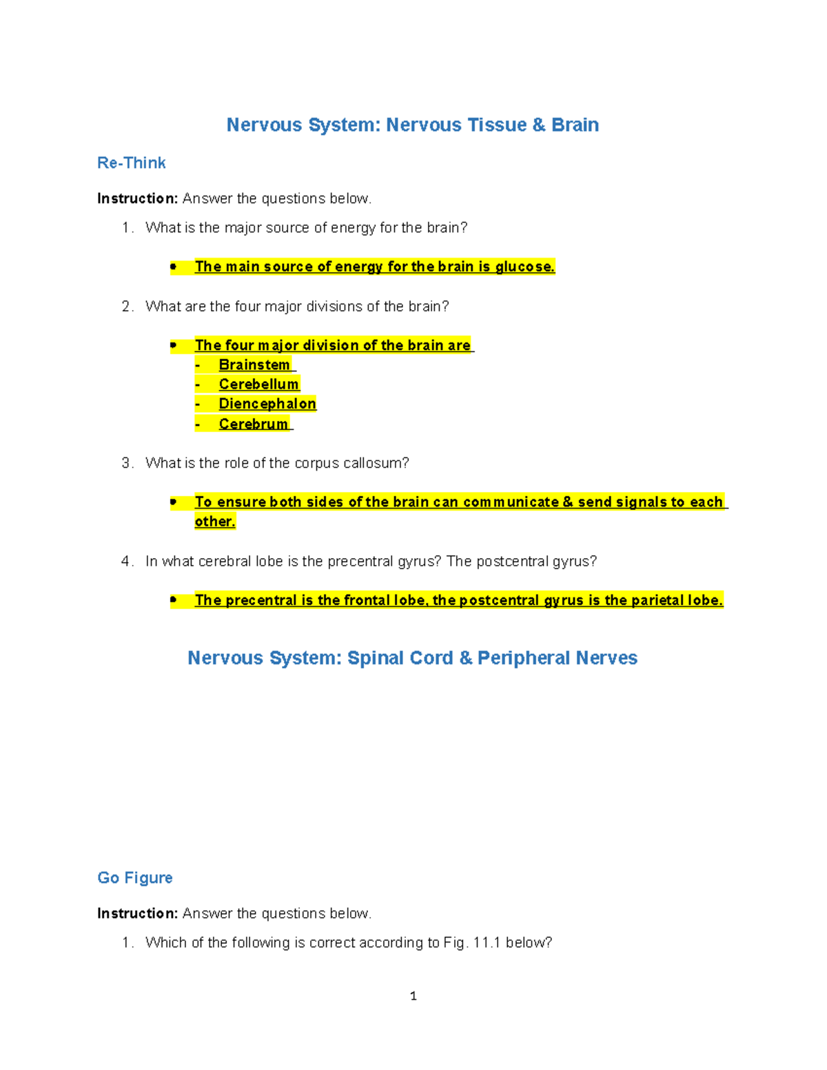 Nervous Tissue & Brain - anatomy and physiology - Nervous System ...