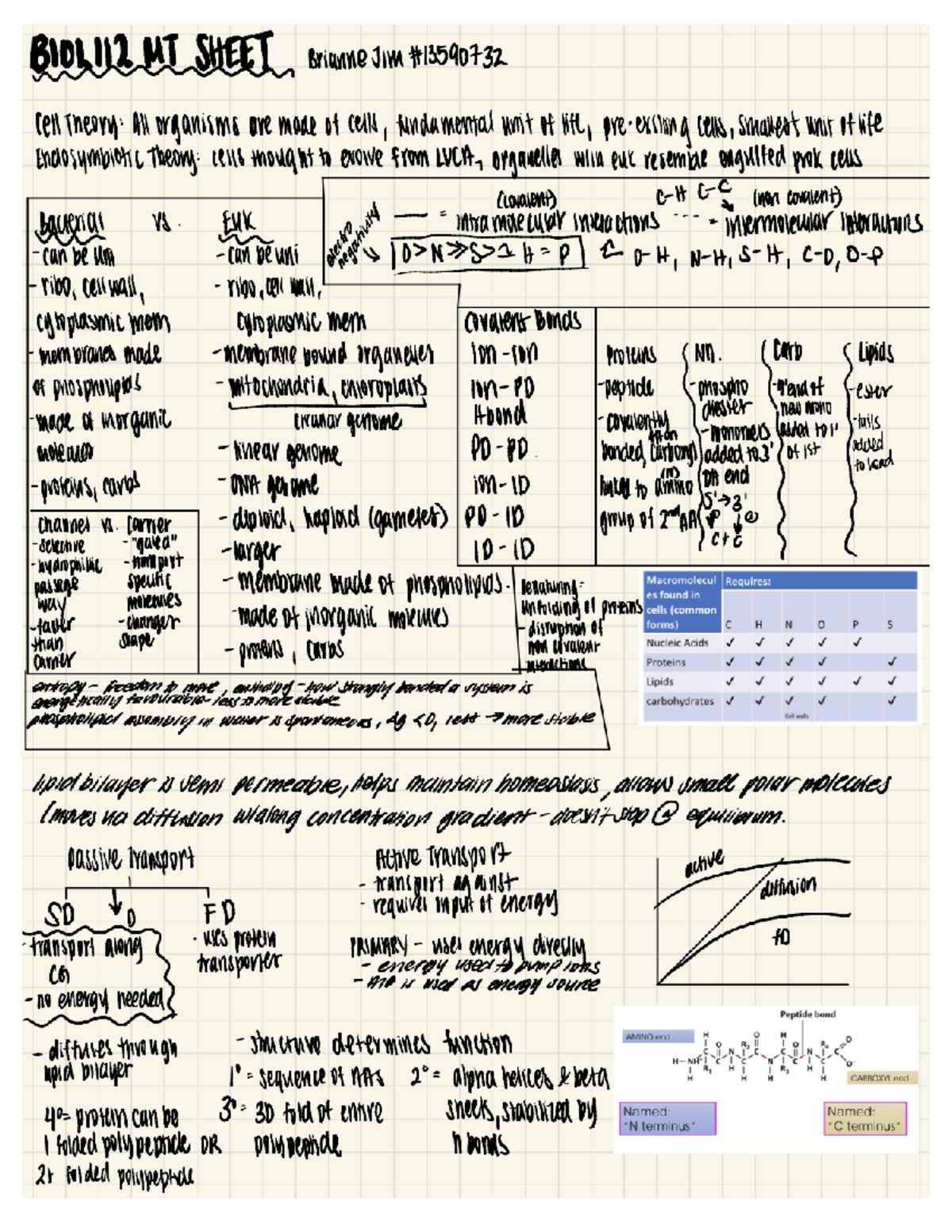 BIOL 112 MT Cheat Sheet - notes - BIOL 112 - Studocu