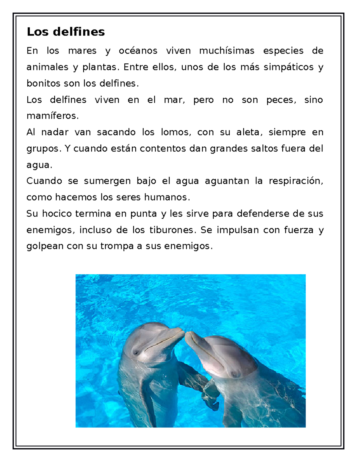 Propuestas Delecturas - Los delfines En los mares y océanos viven ...