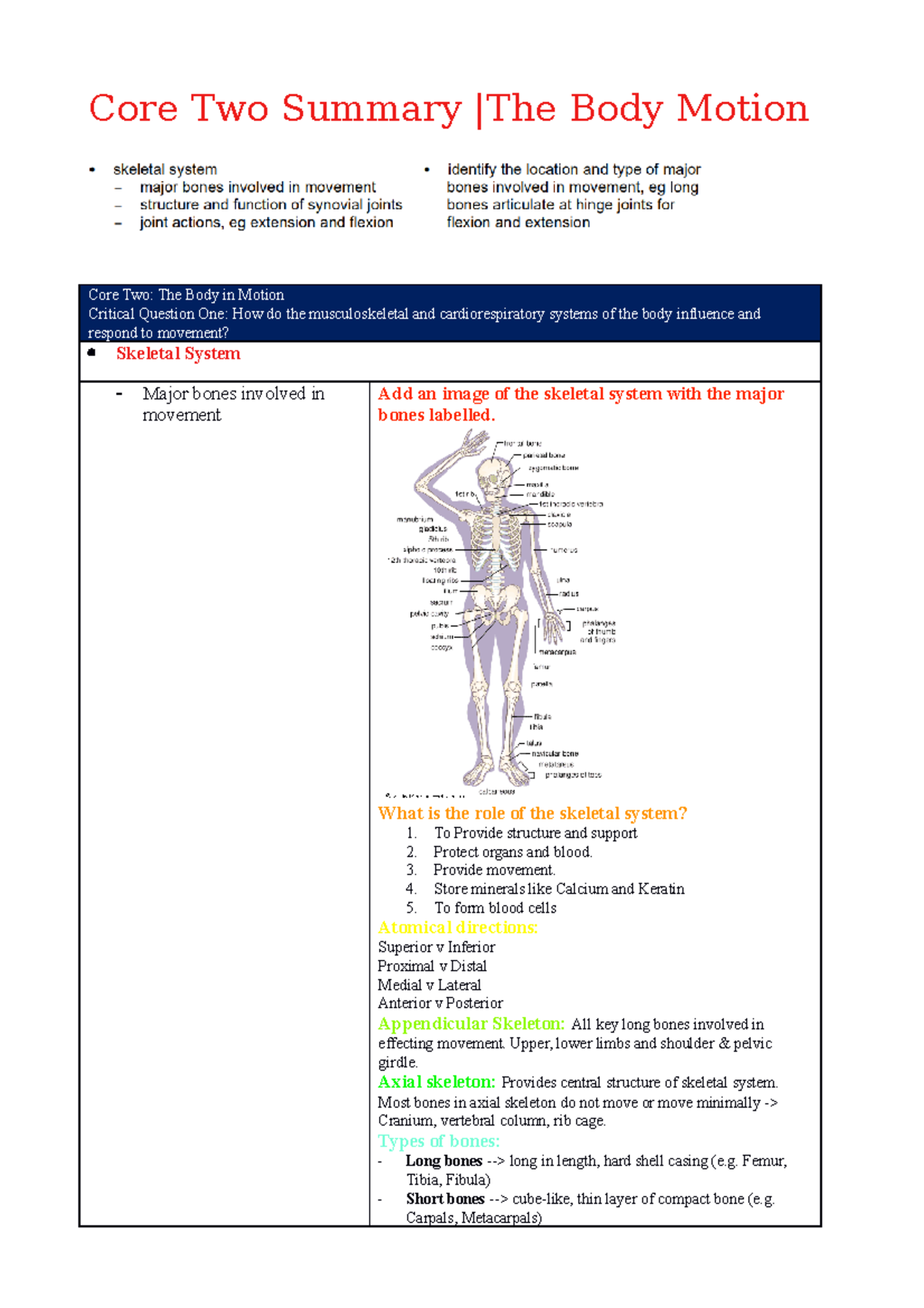 Core Two - Critical questions scaffold - Core Two Summary |The Body ...