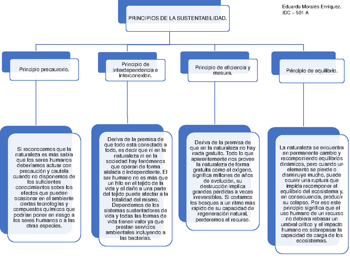 Principios de la sustentabilidad - PRINCIPIOS DE LA SUSTENTABILIDAD. Principio precaurorio. Si ...