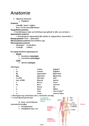 Anatomie latijnse termen - Wervels, algemeen vertebrae wervel processus ...