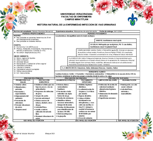 Formatos Place - formato editable - Plan de Cuidados de Enfermería ...