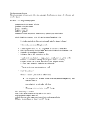 Medication temp for norepinephrine - ACTIVE LEARNING TEMPLATES ...