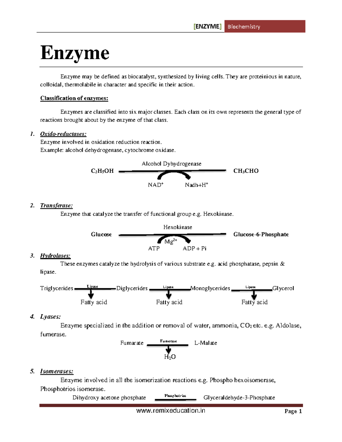 Review notes gor - Enzyme Enzyme may be defined as biocatalyst ...