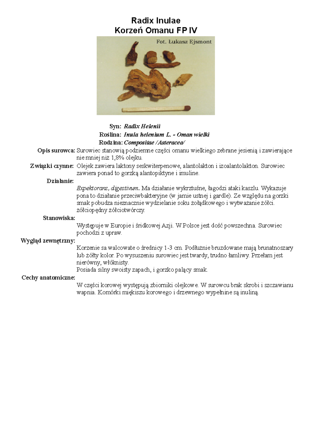 Radix Inulae - Radix Inulae Korzeń Omanu FP IV Syn: Radix Helenii ...