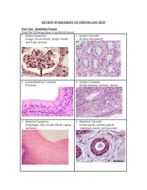 Exam 1 Study Guide - Exam 1 Study Guide Chapter 1: Introduction to the ...