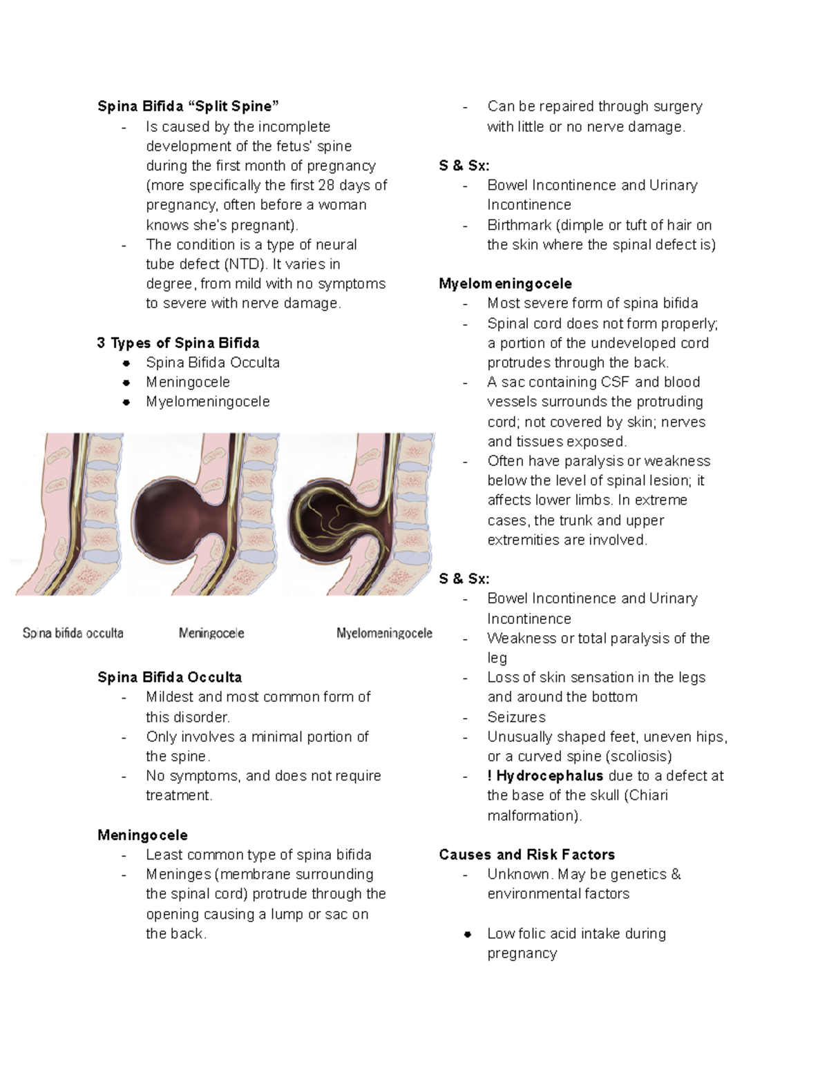 Spina Bifida Lecture - Spina Bifida “Split Spine” - Is caused by the incomplete development of ...