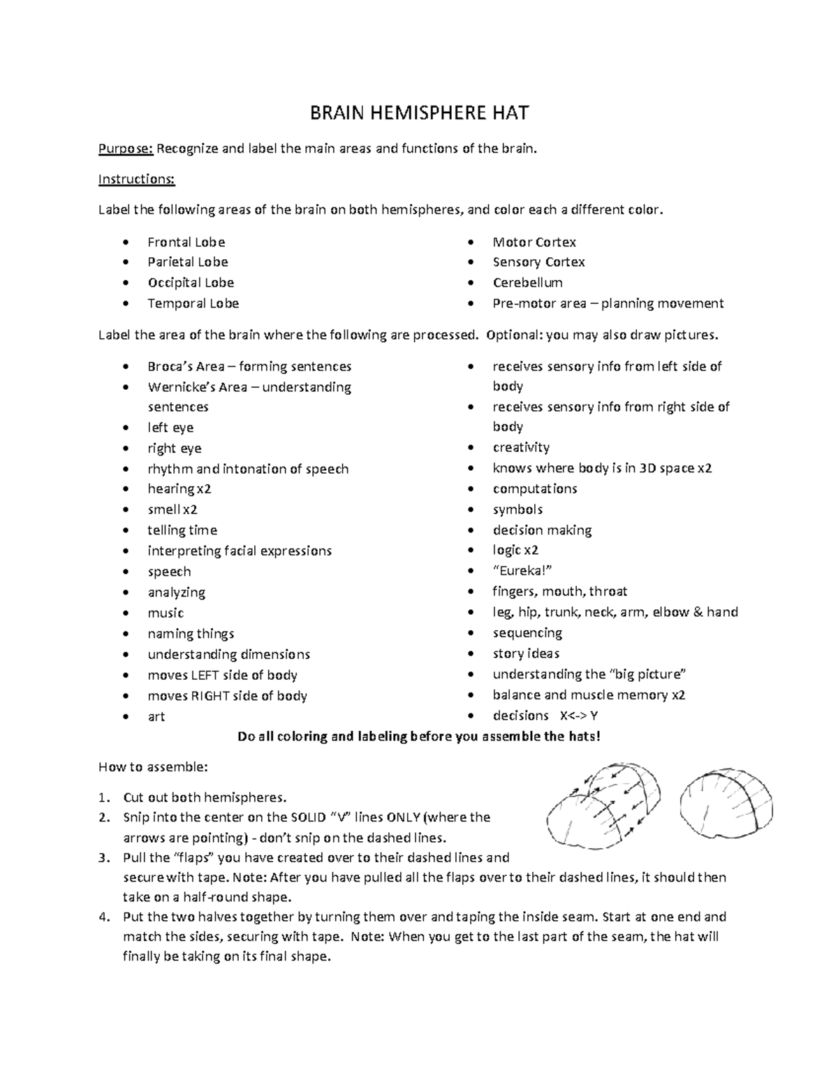 Brain Hemisphere HAT - BRAIN HEMISPHERE HAT Purpose: Recognize and ...