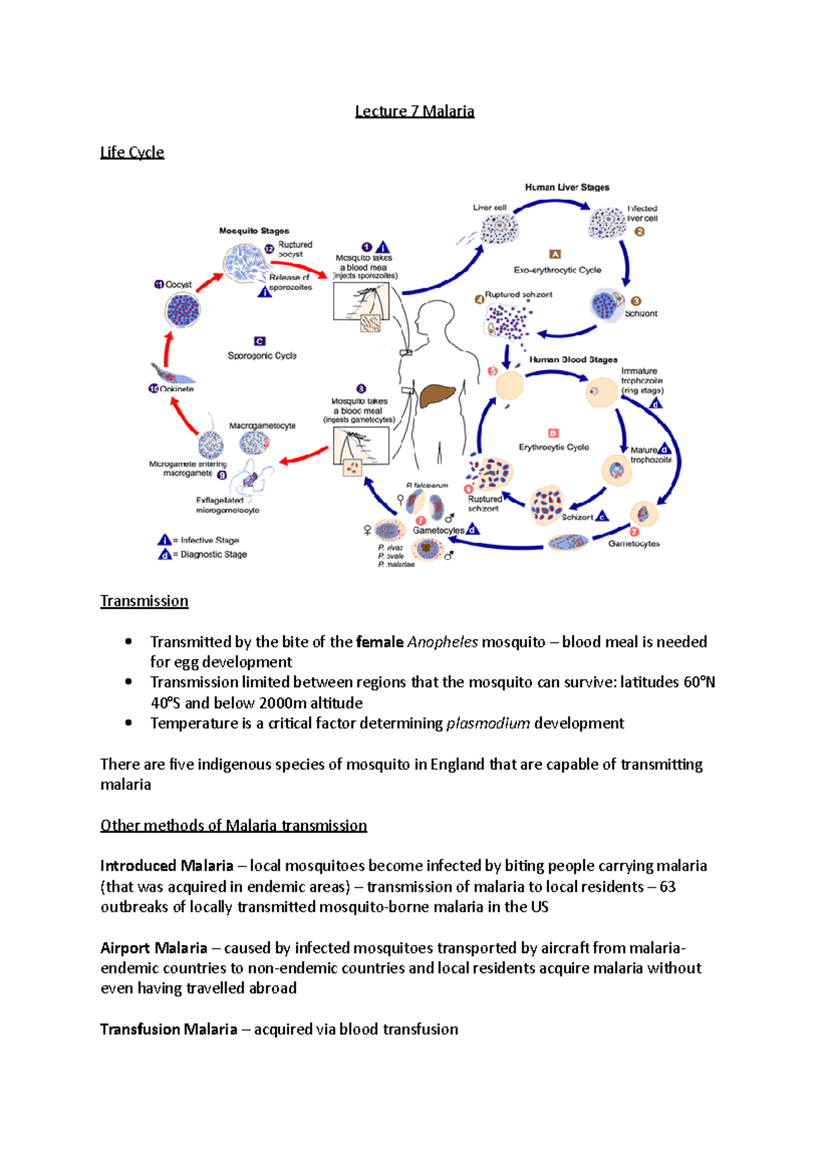 Lecture 7 Malaria - Paul McKean - Lecture 7 Malaria Life Cycle ...