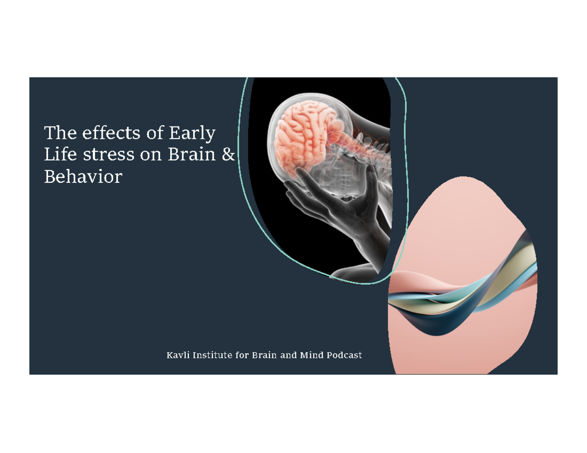 Looking Around - assignment of overview of early life stress on ...
