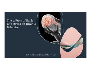 Solomon Sediment - Would - Sediment Lab Report Anya Solomon Kristina Agee, Ashley Lopez ...