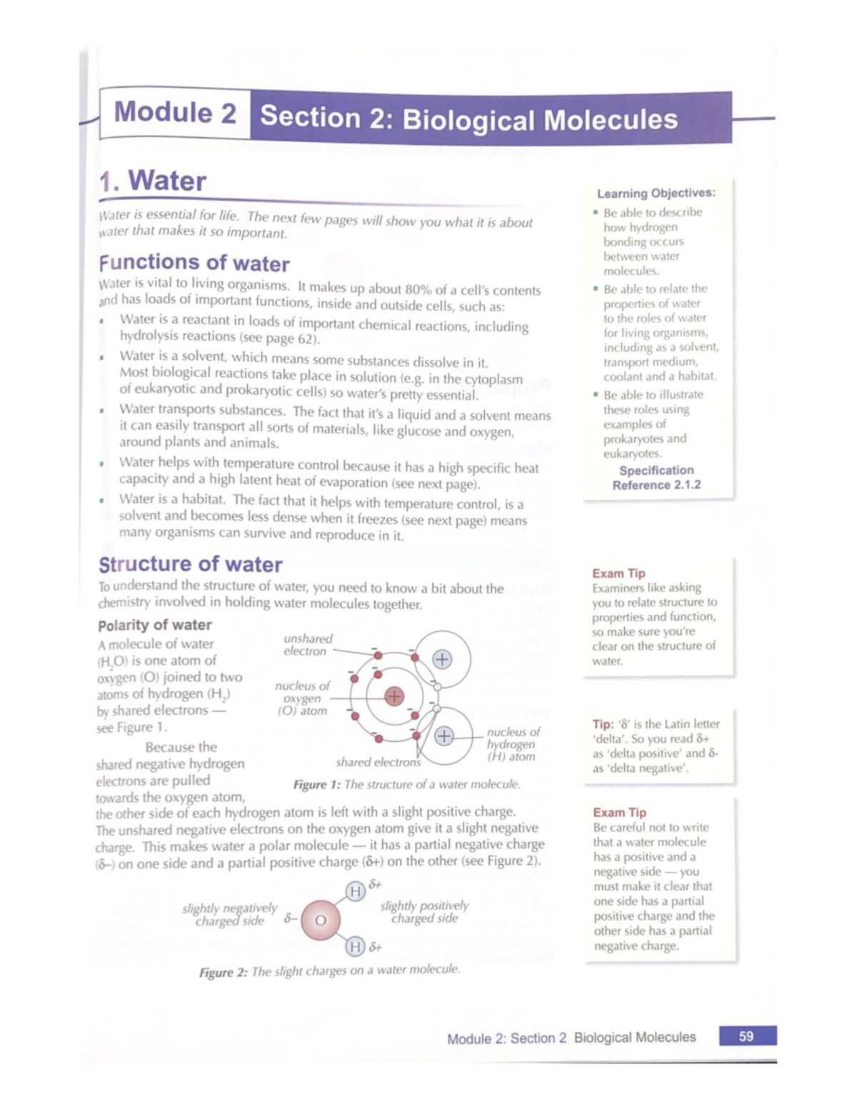 Aya Mohsin - Module 2 Section 2 Biological Molecules - Module 2 Section 2: Biological Molecules ...