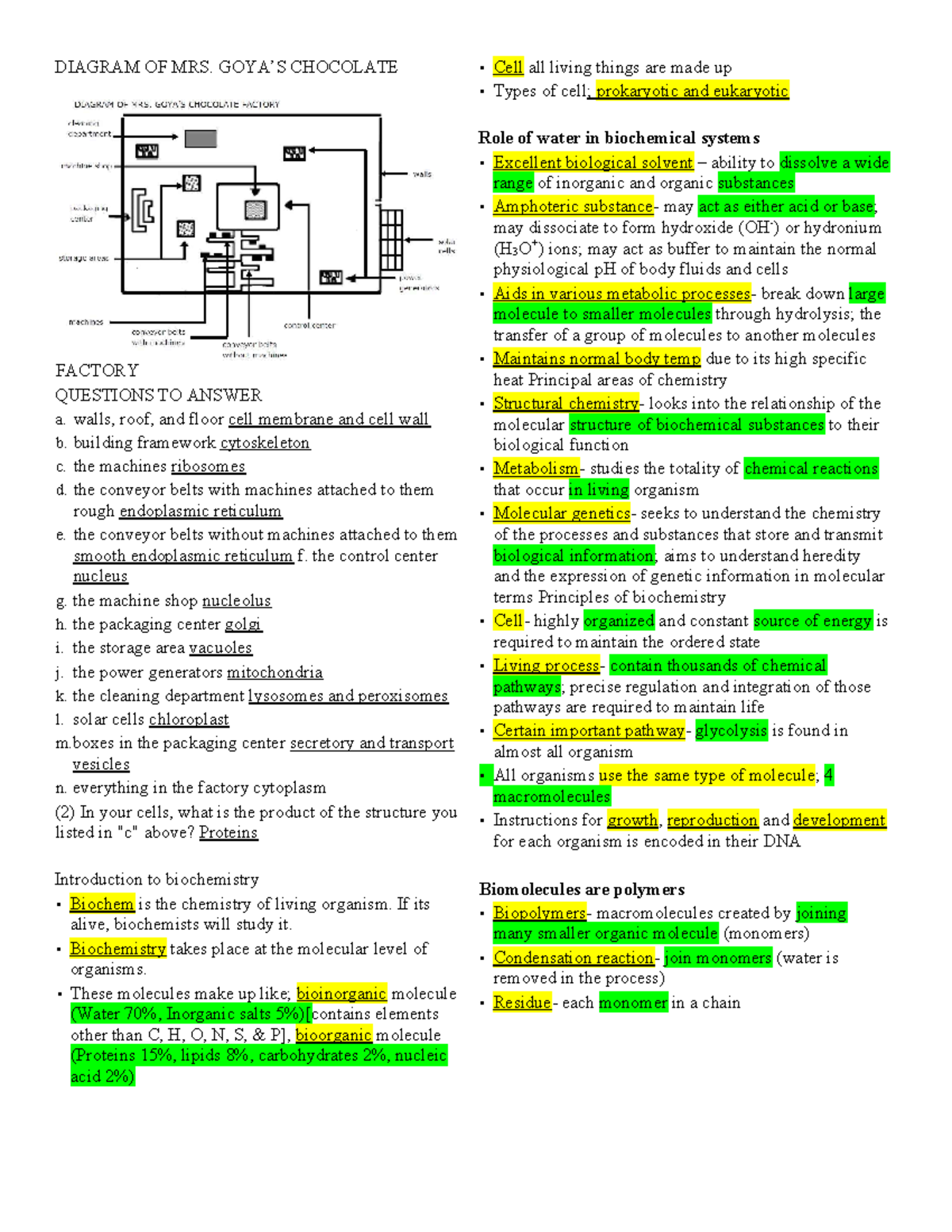 Biochem midterm reviewer-1 - DIAGRAM OF MRS. GOYA’S CHOCOLATE FACTORY ...
