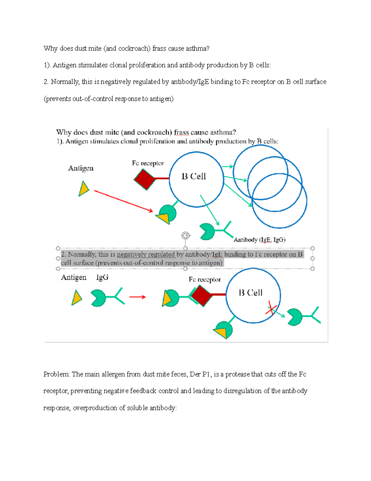 Insect Notes - BIOL 1104 - UGA - Studocu