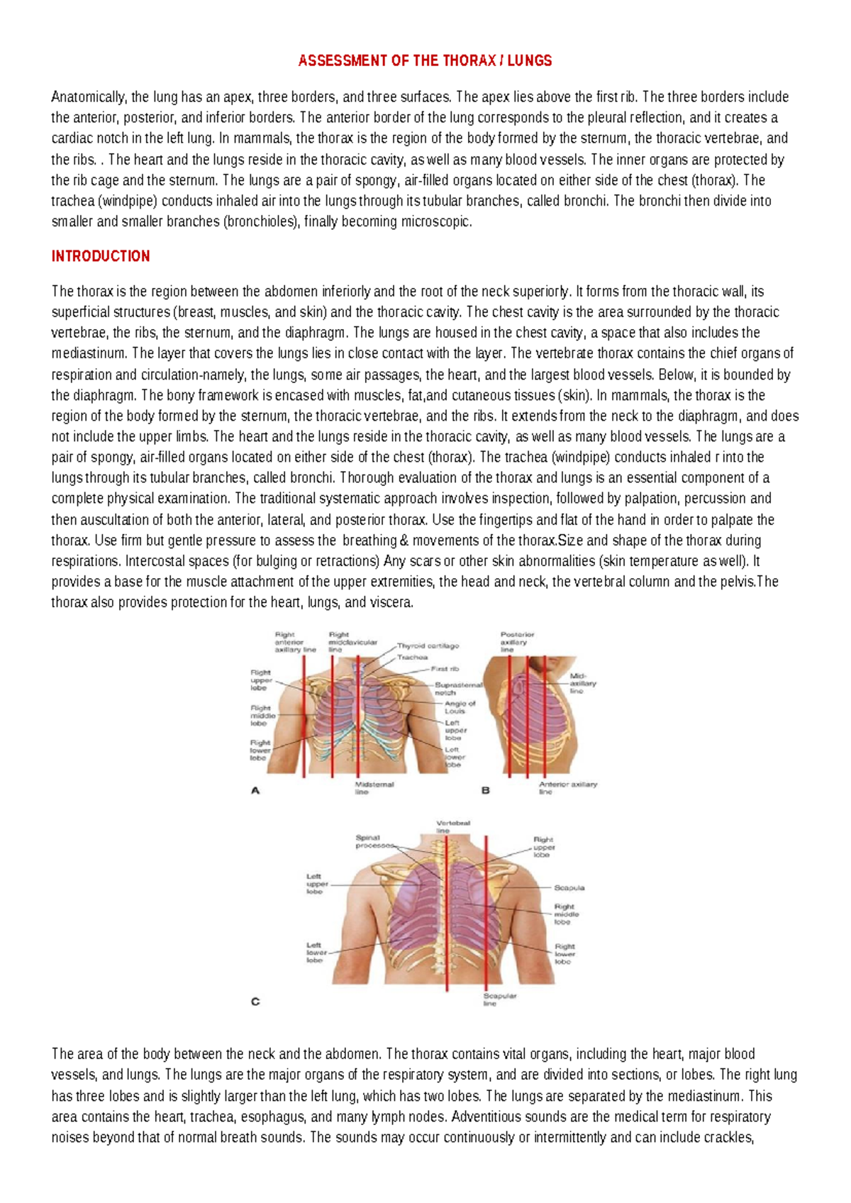 Health- Assessment- Thorax - ASSESSMENT OF THE THORAX / LUNGS ...