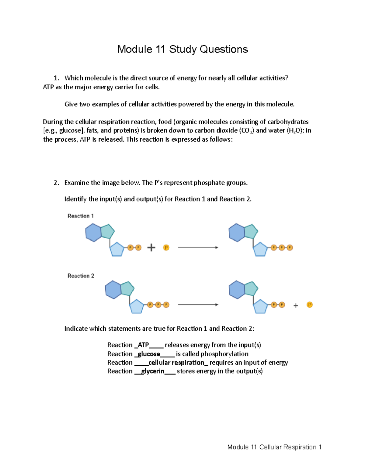 Module 11 Study Questions - BIO 1010 - WGU - Studocu