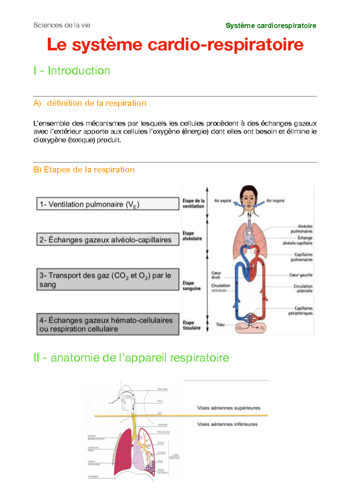2- Le système cardiorespiratoire - Le système cardio-respiratoire I ...