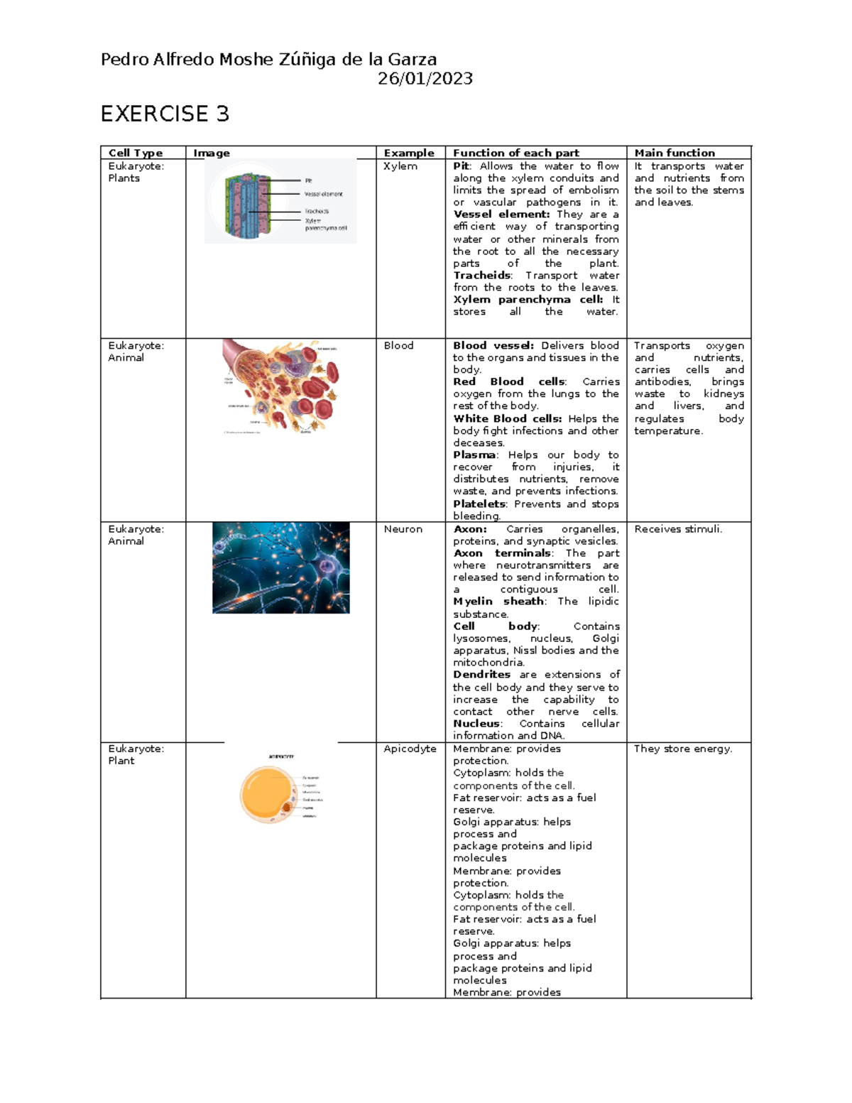 Exercise 3 - 26/01/ EXERCISE 3 Cell Type Image Example Function of each ...