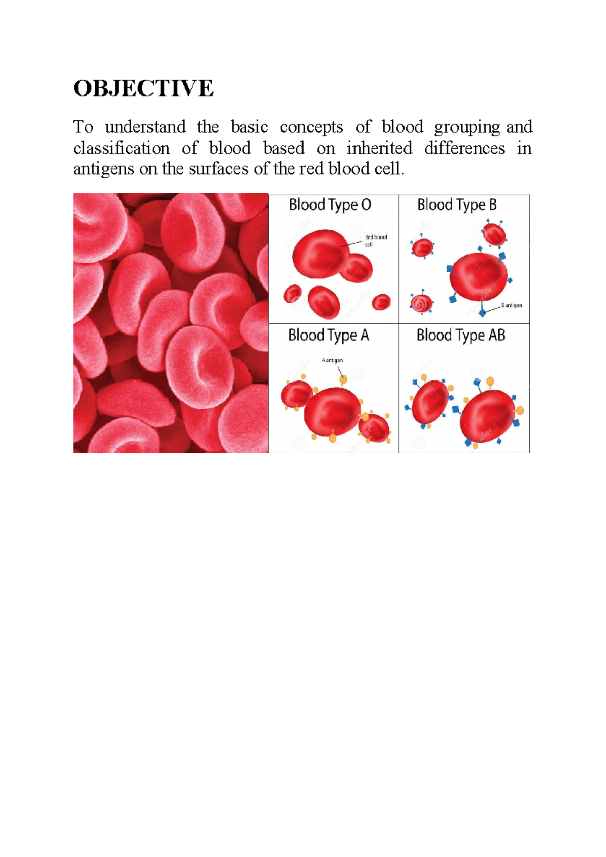 ABO-Blood-Grouping-cbsebiology 4u - OBJECTIVE To understand the basic ...
