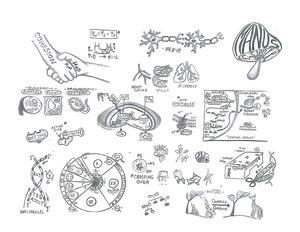 Soe word problems worksheet - Name:_____________________________ Period ...