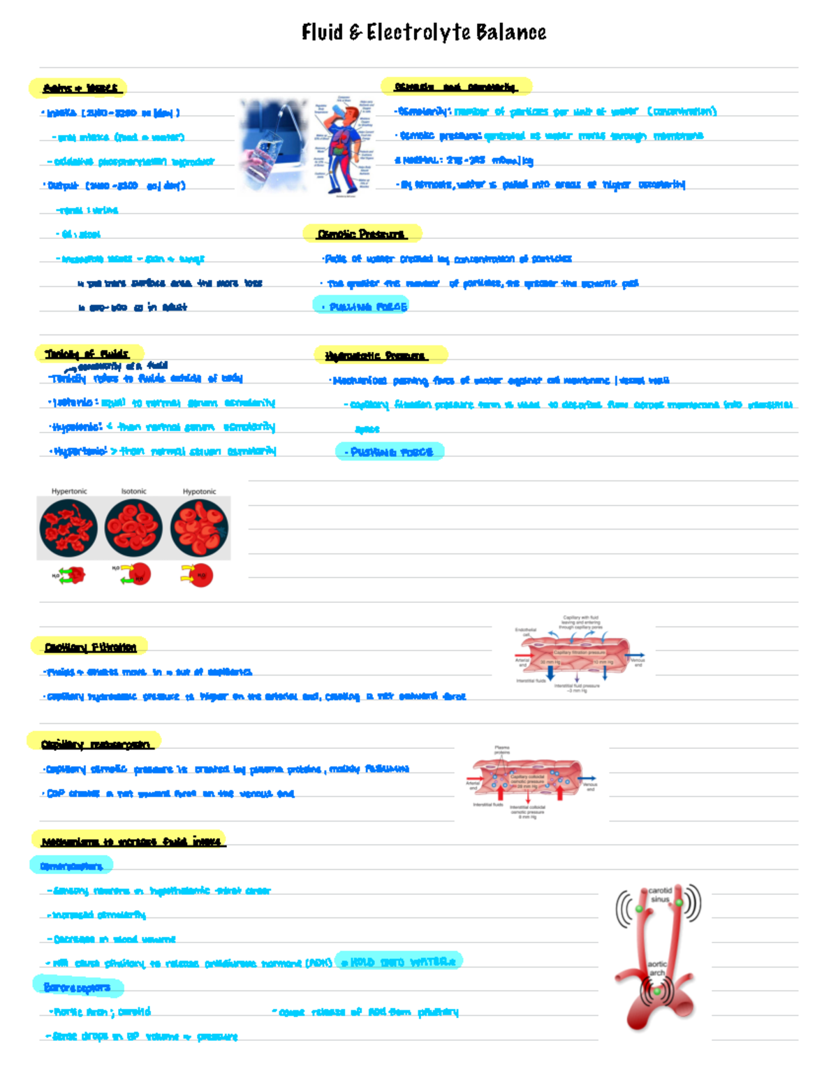 Pathophysiology fluid - Fluid & Electrolyte Balance Gains a losses ...