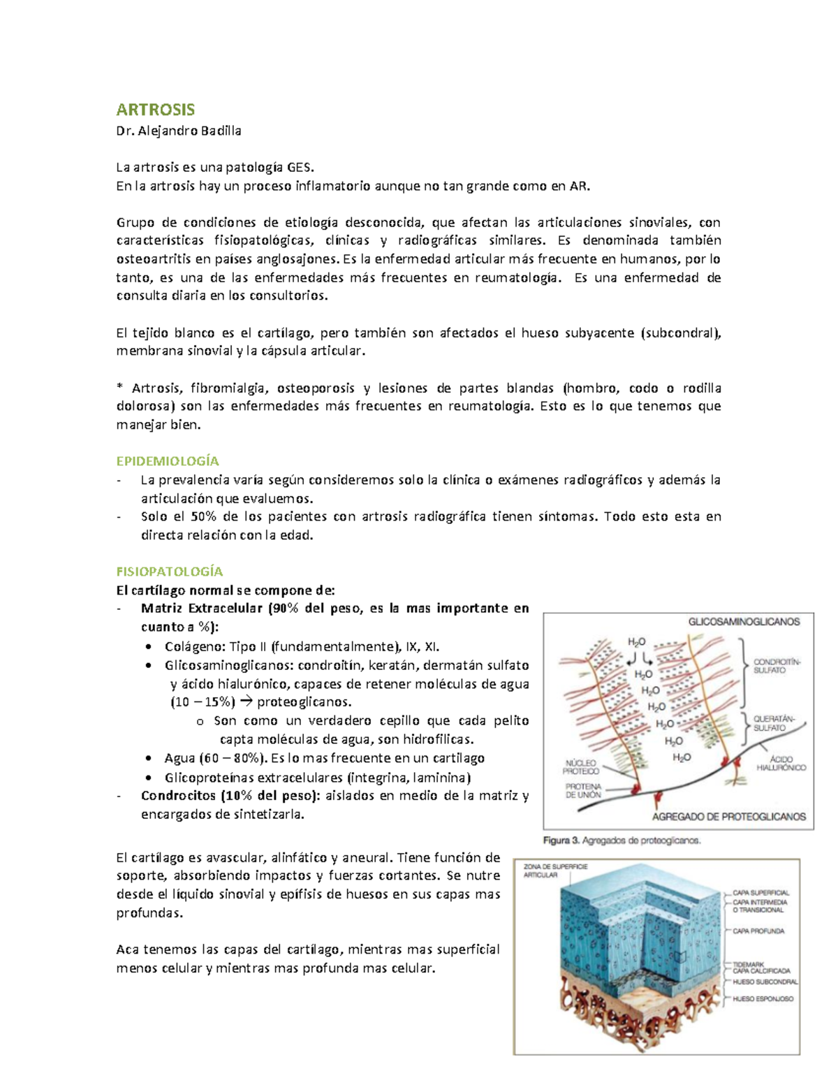 9. Artrosis T - ARTROSIS Dr. Alejandro Badilla La artrosis es una ...