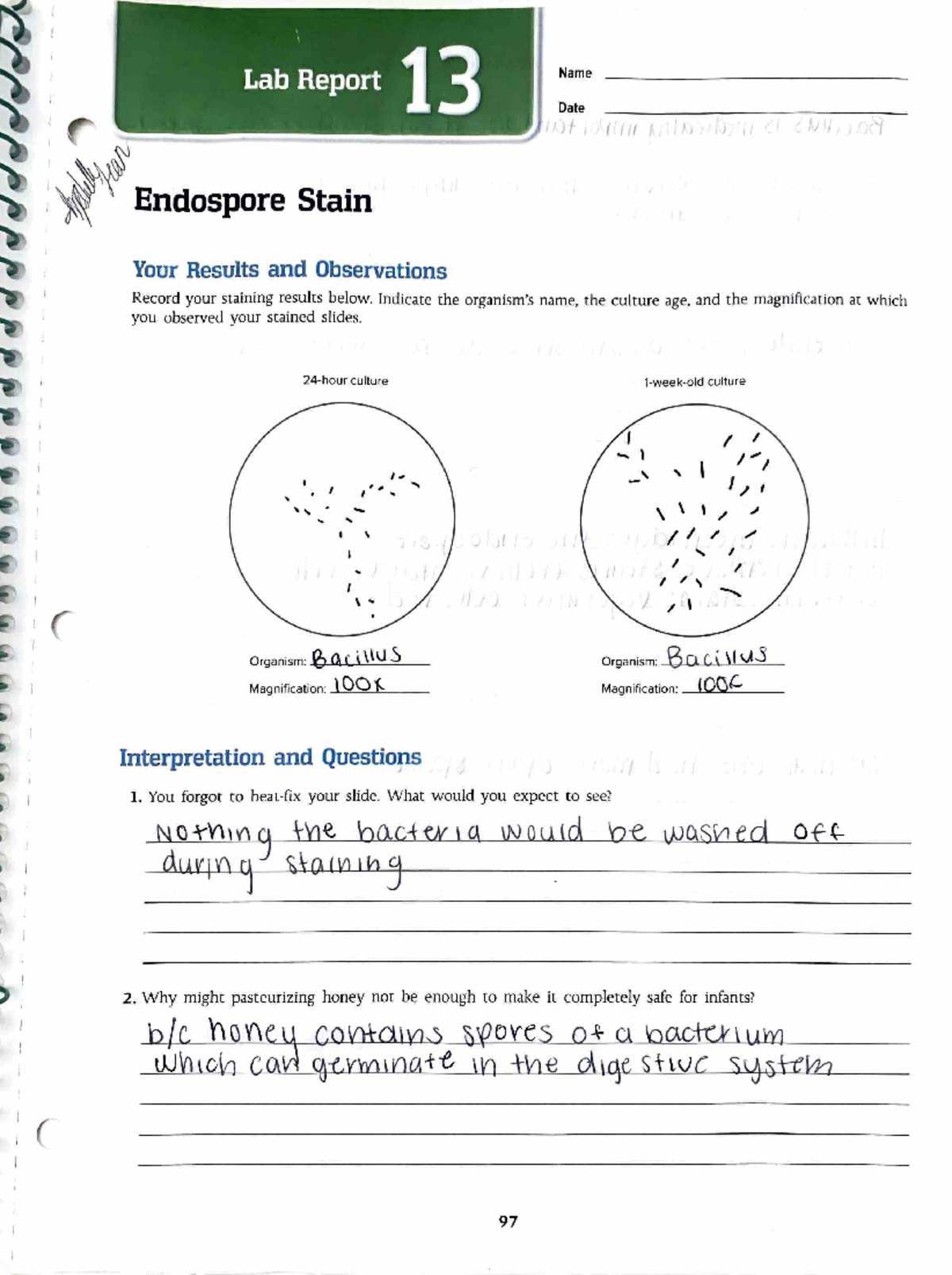 LR 13 - Homwoek - Lab Report 13 Name Date I (' J r I I t I >I J I I I ...