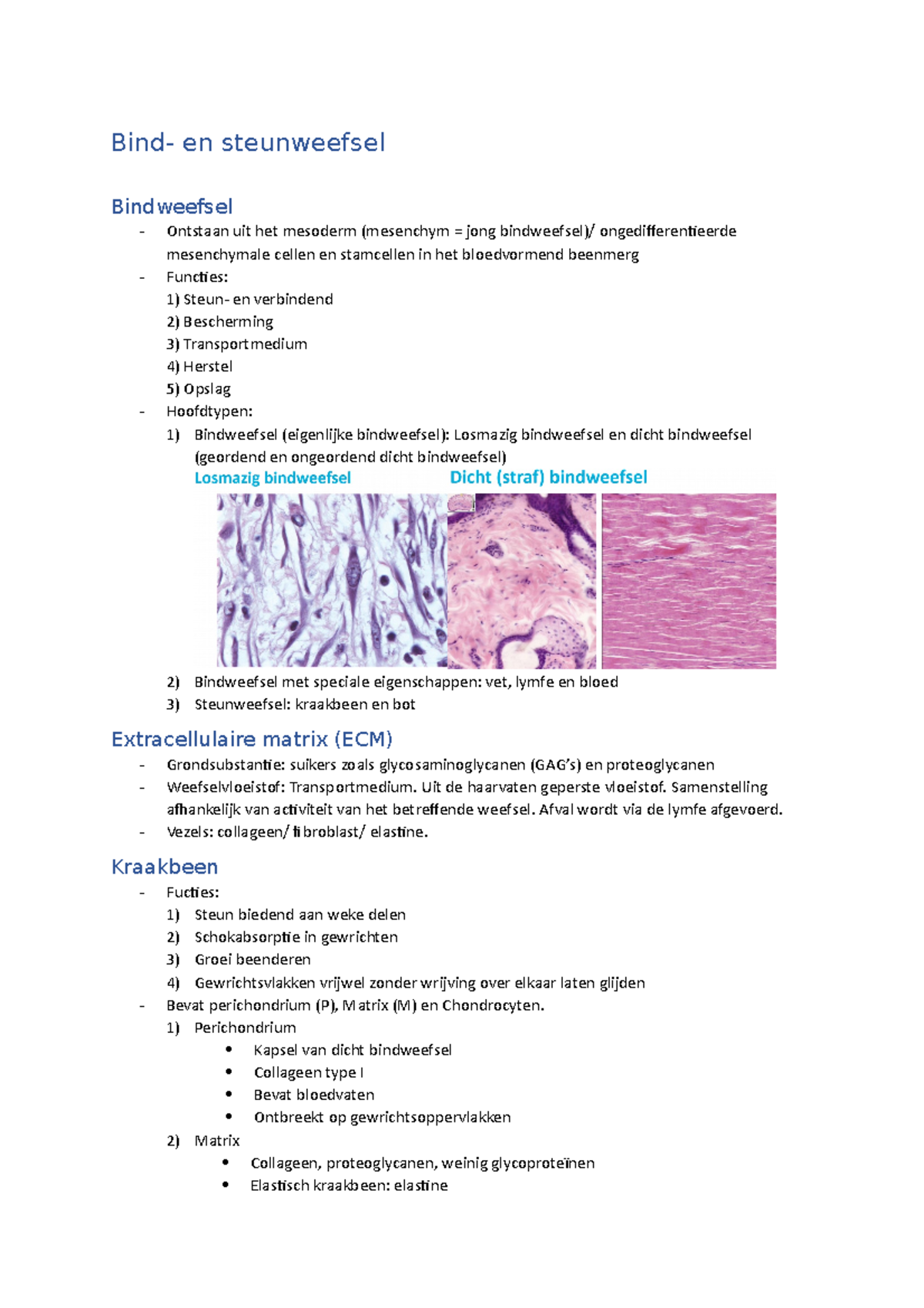 Bind en steunweefsel - Informatie PowerPoint en Syllabus - en ...